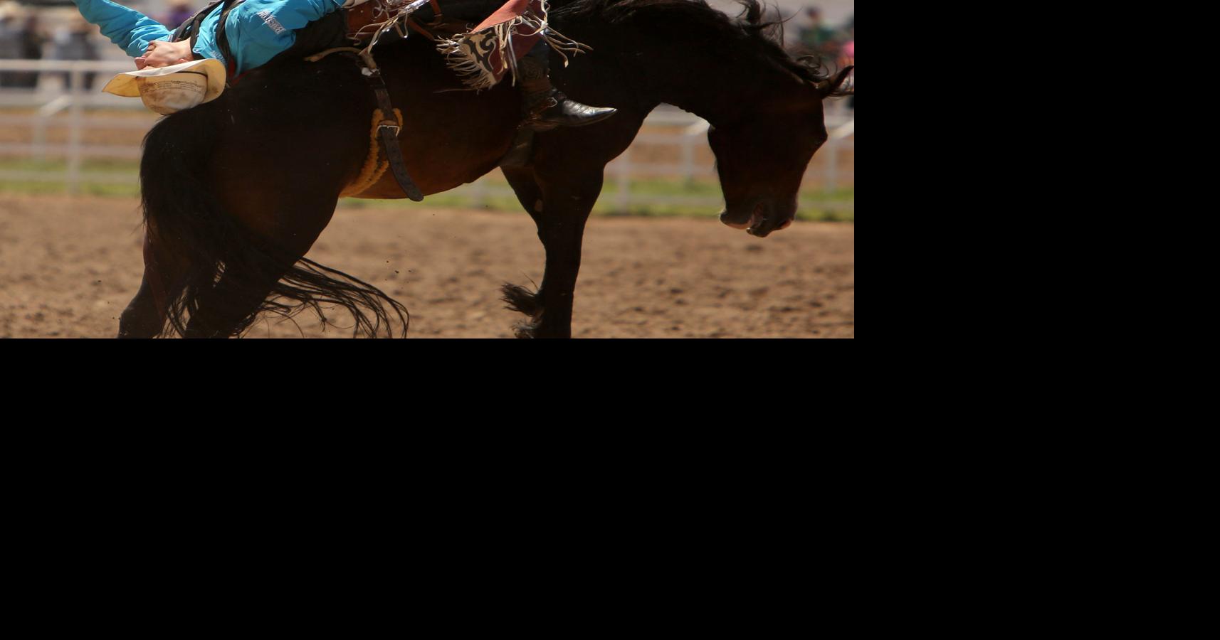 Bareback bronc rider Aus returns from injury and takes lead in Cheyenne