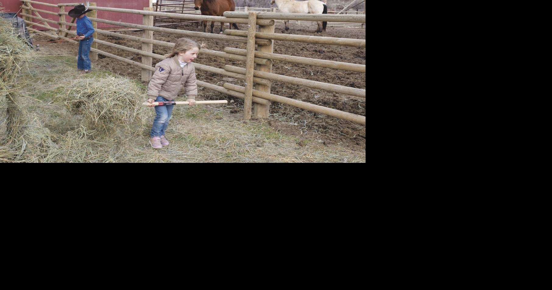A sense of normal: Sheridan ranchers embrace spring with family at home
