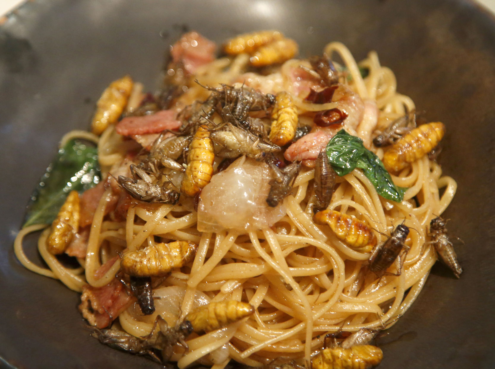 Photos: Bugs in the food is by design at new Bangkok bistro