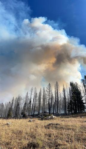 Wyoming governor deploys National Guard due to Bighorn fire