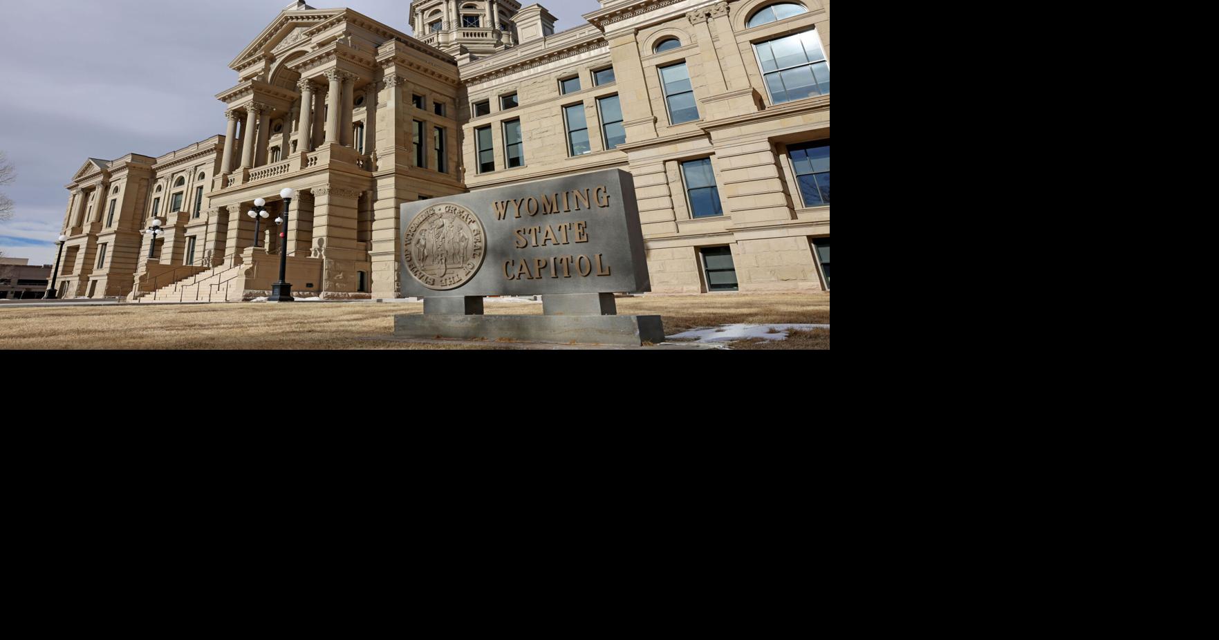 Lobbying bill aimed at local governments tabled