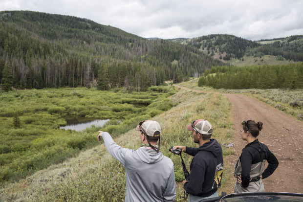 Cutt Slam in a day: a quick and dirty look at Wyoming's cutthroat trout