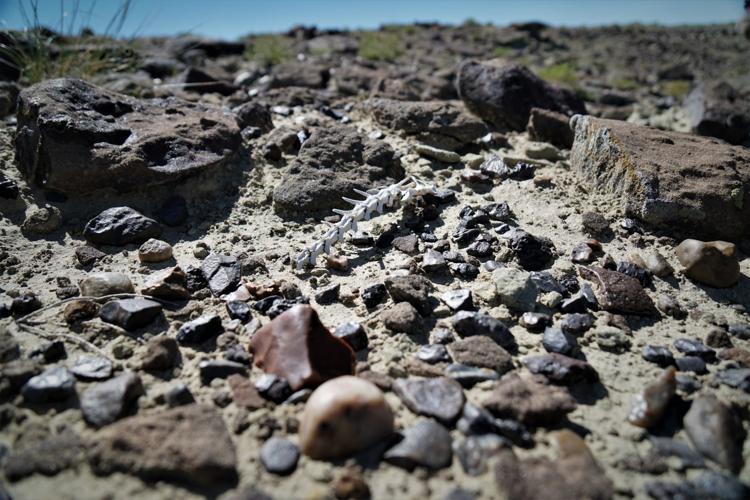 Exploring Adobe Town — a wild, surreal and isolated place — in Wyoming ...