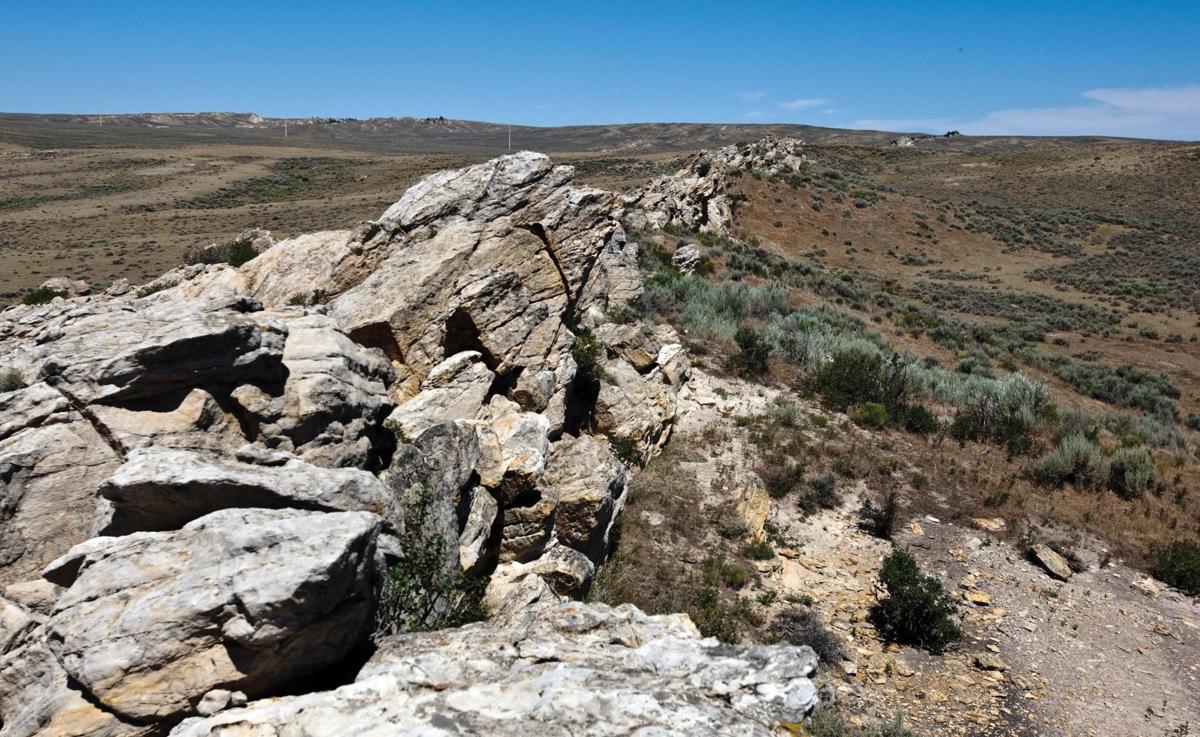 A trail less traveled | Home and Garden | trib.com