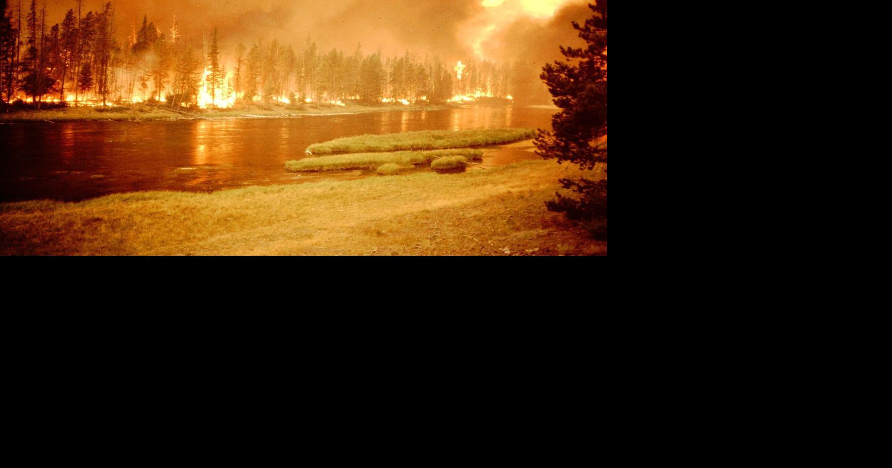 Former fire behavior analyst shares photos from the Yellowstone fires ...
