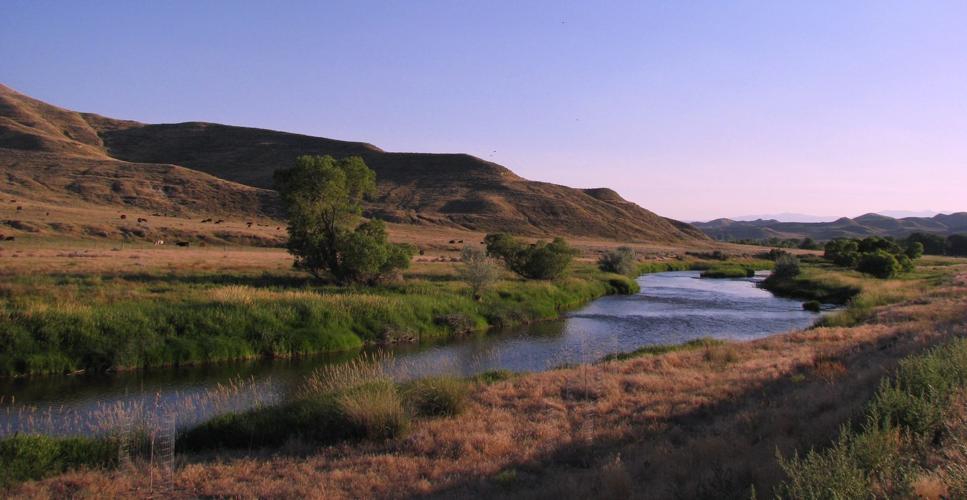 Ucross Foundation ranch designated as important bird area