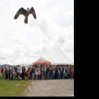 Teton Raptor Center allows visitors to observe birds of prey up close