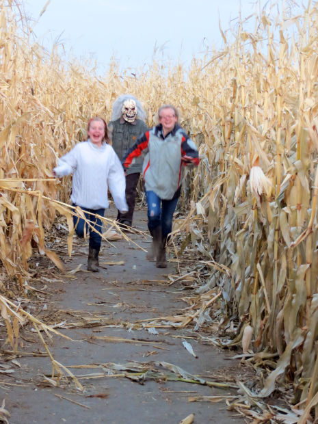 Heaps Haunted Corn Maze Review