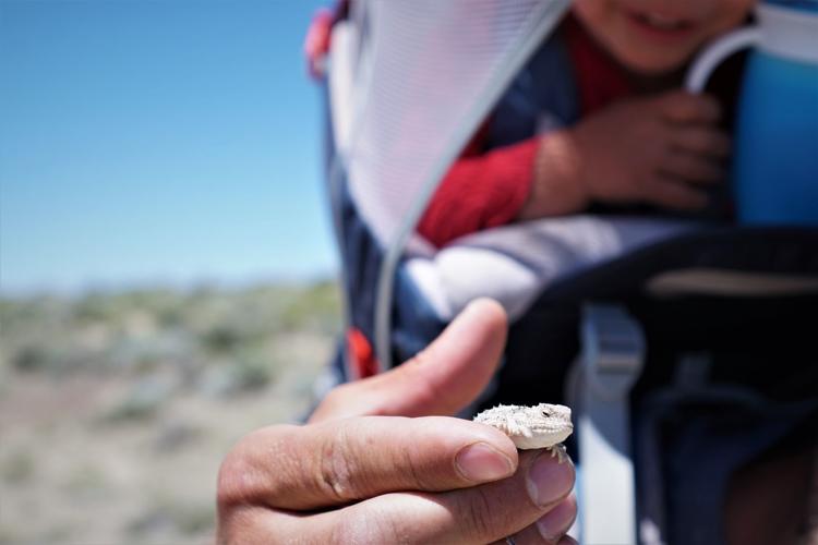 Exploring Adobe Town — a wild, surreal and isolated place — in Wyoming ...