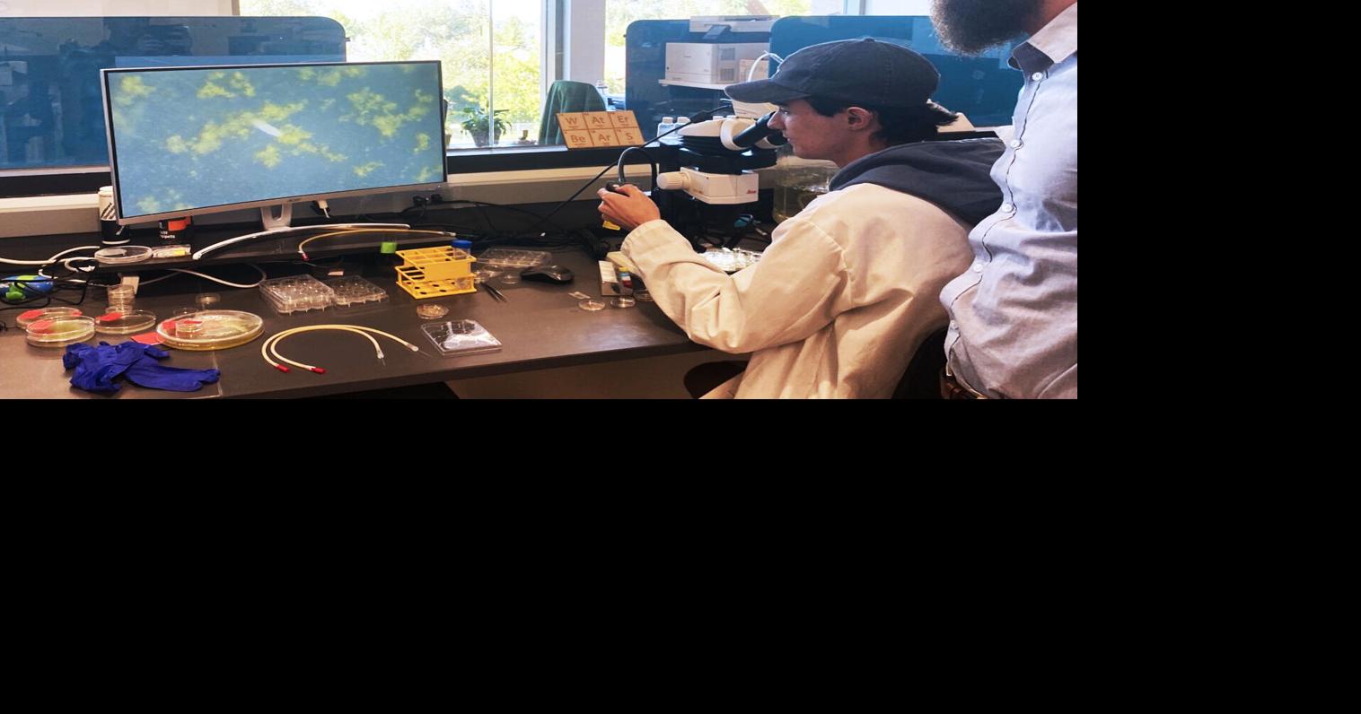 UW professor receives NASA grant to study radiation exposure on small ...