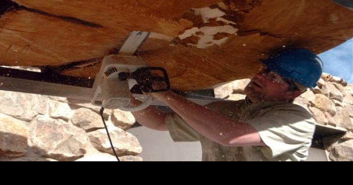 Historic 'Camp Monaco' tree in new space in Wyoming