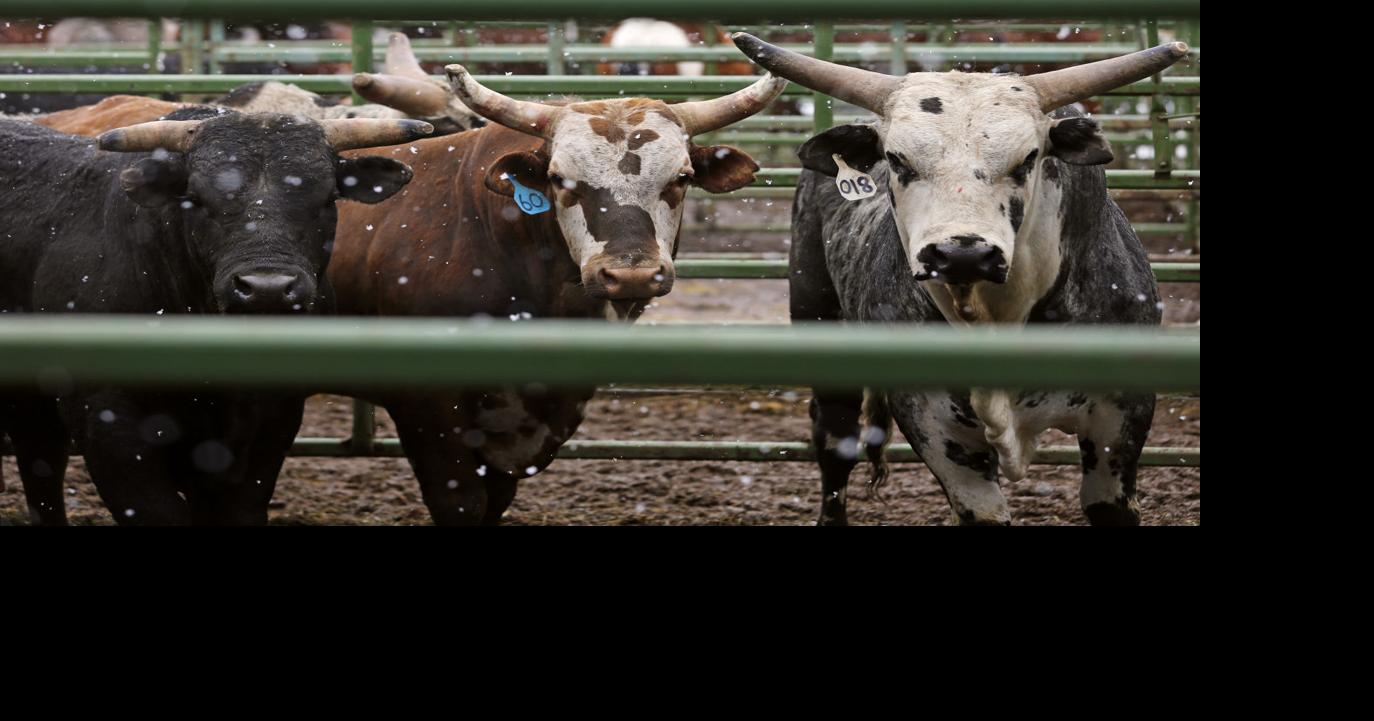 Photos: Ropin' & Riggin' Days Rodeo
