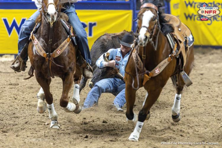2025 final PRCA/WPRA pro rodeo world standings