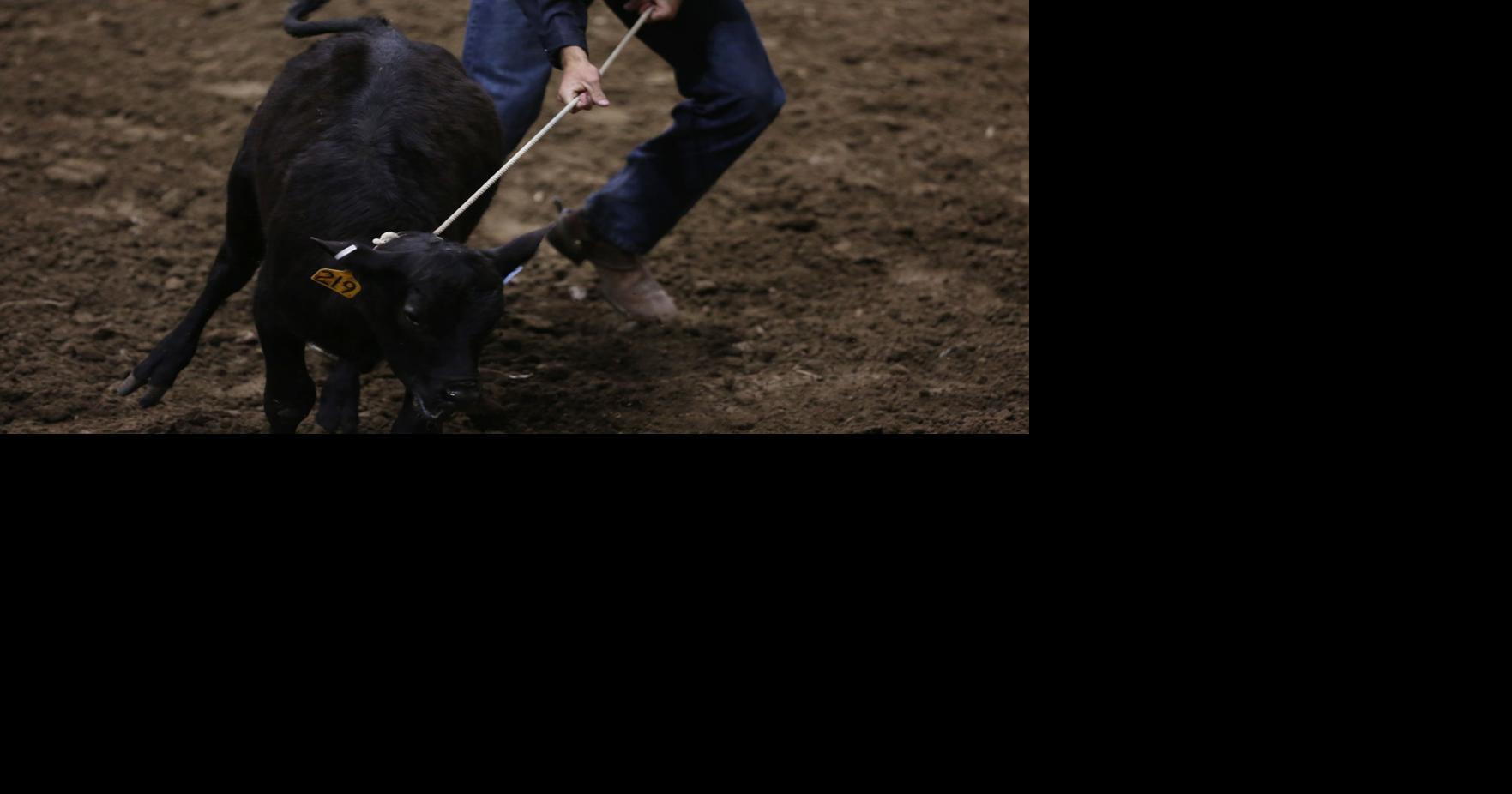 Caleb Berquist approaches final go-round of tie-down roping in 1st place