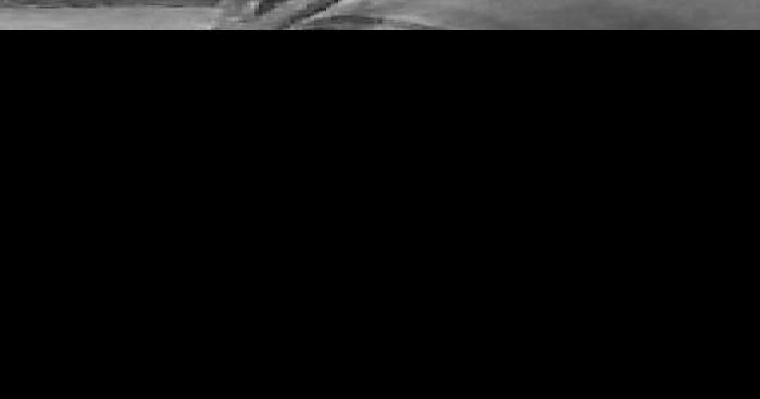 Thomas Richard Searles