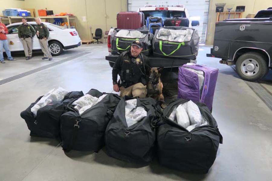 Sweetwater County Sheriff's office makes 300-pound pot bust