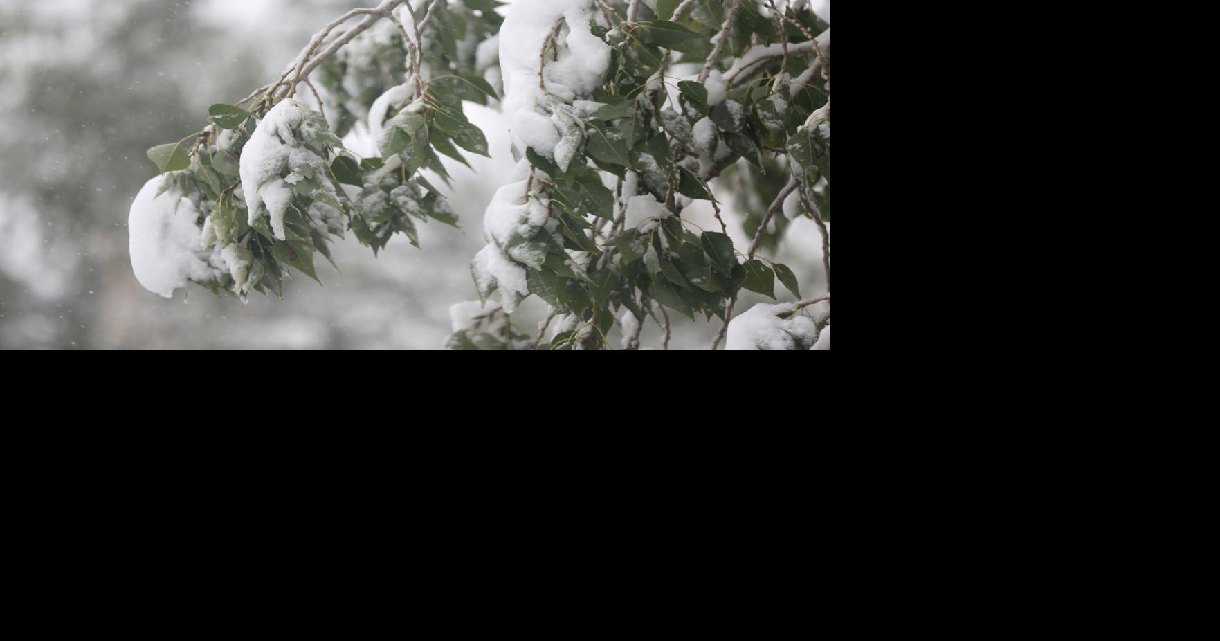 Storm drops more than 6 inches of snow on Casper; 86 mph winds hit Rock ...