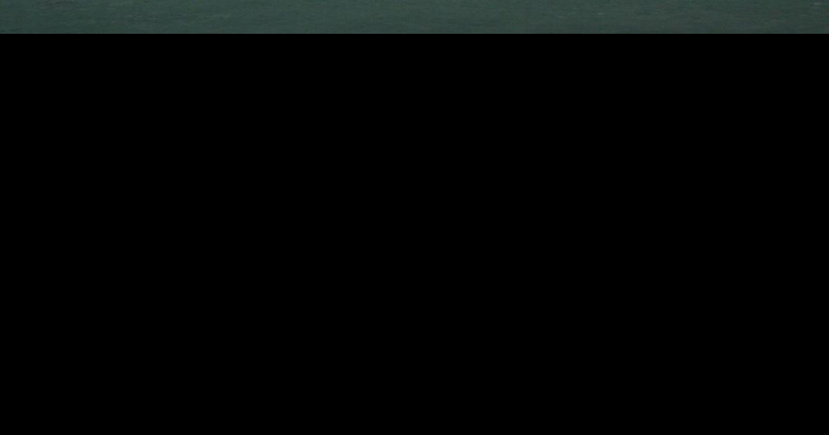 Sheridan's Julia Fenn caps career as Girls Tennis Player of the Year