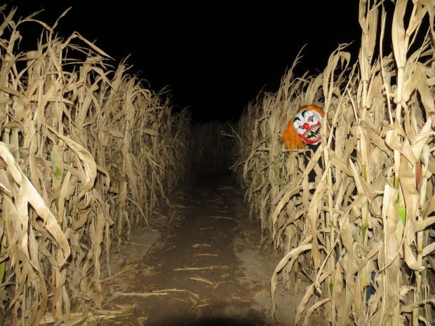 Heaps Haunted Corn Maze Review