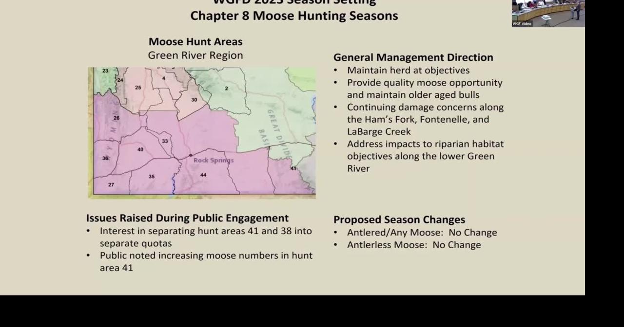 Green River, Laramie area moose hunt proposed changes