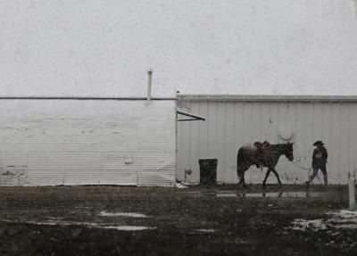 Western Exposure: In Limbo