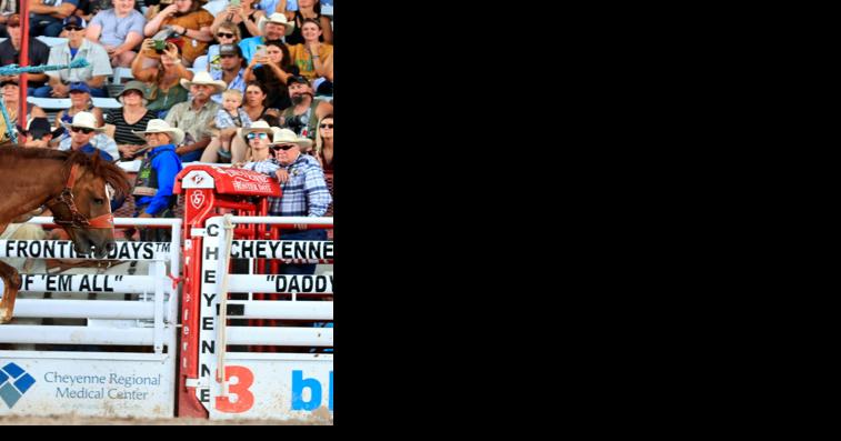 Q Taylor moves into top 15 of saddle bronc world standings