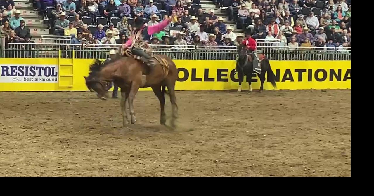 West Texas College's Damian Brennan with an 84.0 on Vold Rodeo's Moon ...