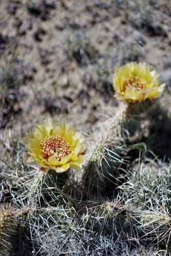 Exploring Adobe Town — a wild, surreal and isolated place — in Wyoming ...