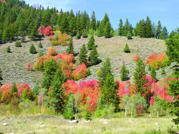 Shoulder season offers extended opportunity for traveling in Wyoming