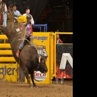 Gillette bull rider Bobby Welsh considers NFR successful