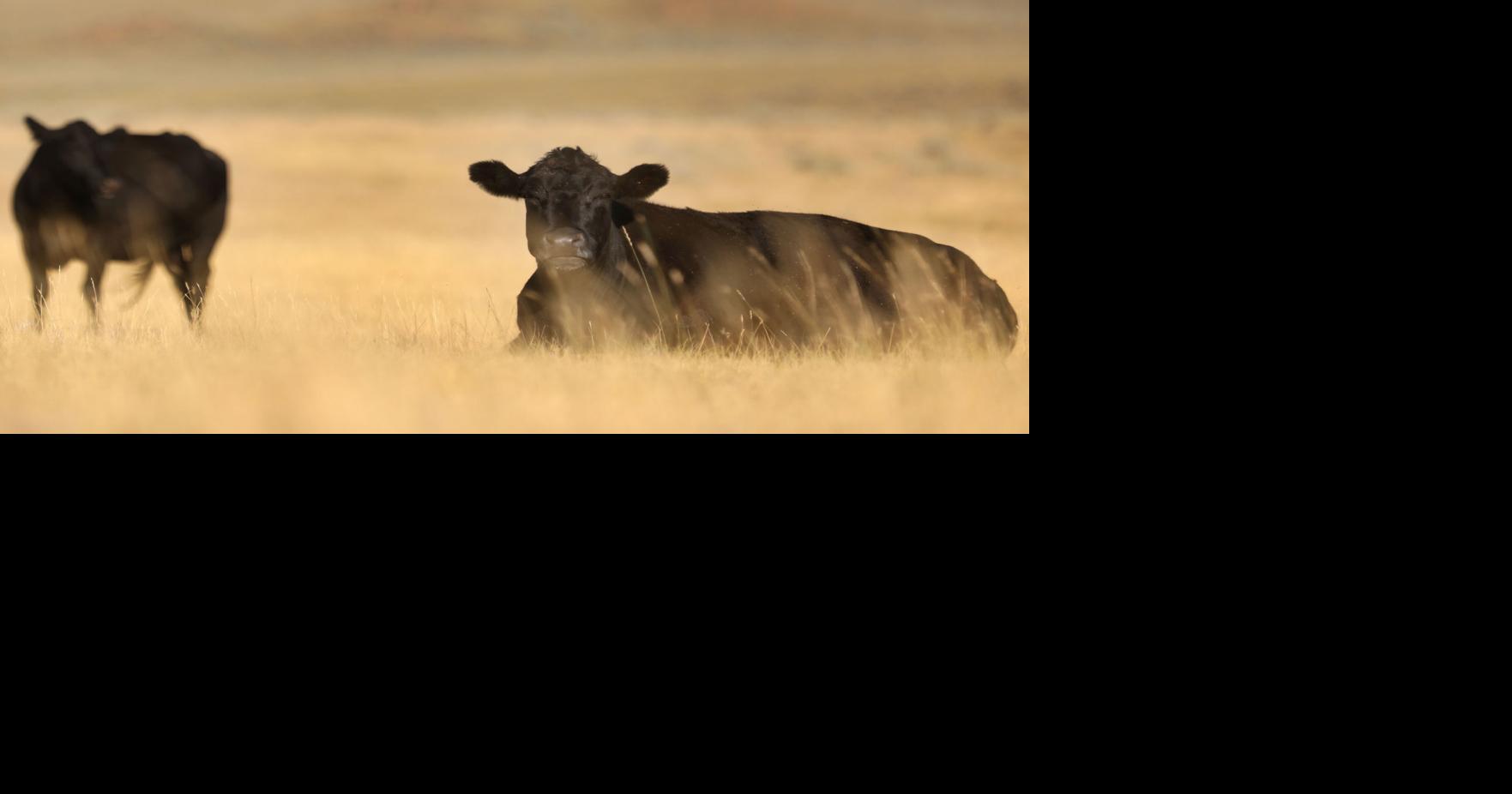 Magagna: American energy security begins with agriculture