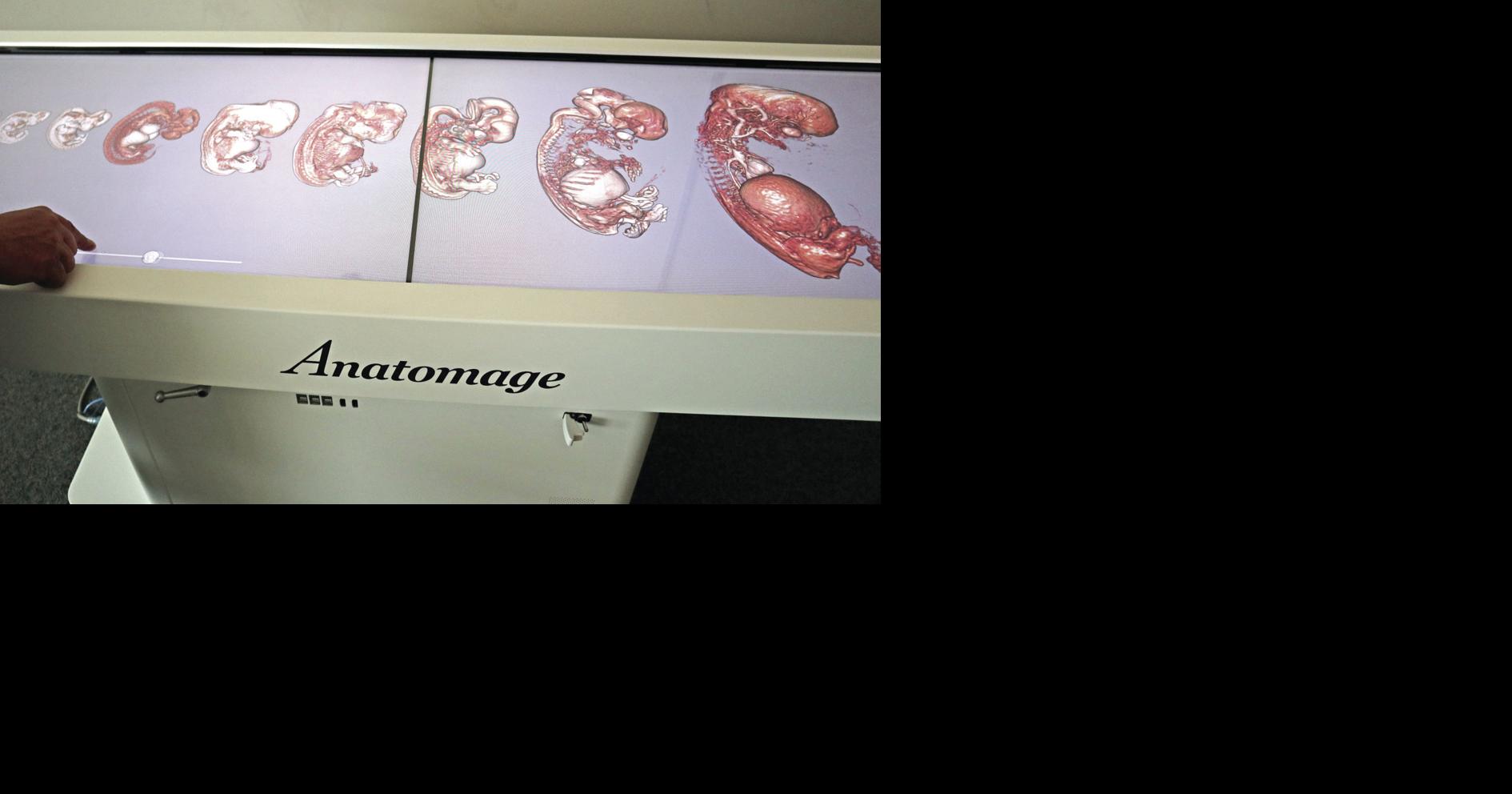 Green River students learn human dissection with Anatomage