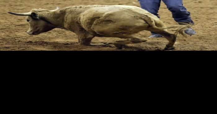 RODEO: Suhn wins Wednesday's round in steer wrestling