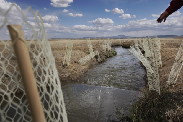 Giant Pathfinder Ranch project aims to swap conservation land for ...