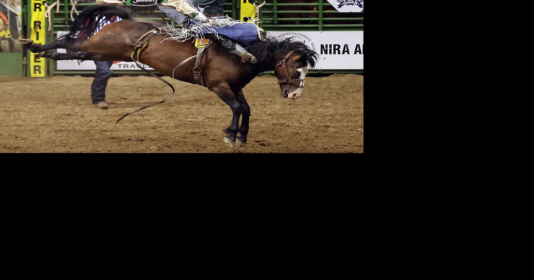 Bareback bronc riders continue to raise the bar at CNFR