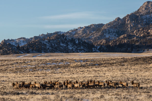 Western Exposure: The Big Empty