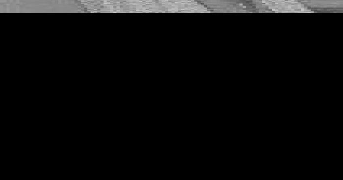 Sara “Sally” Lou Crouch