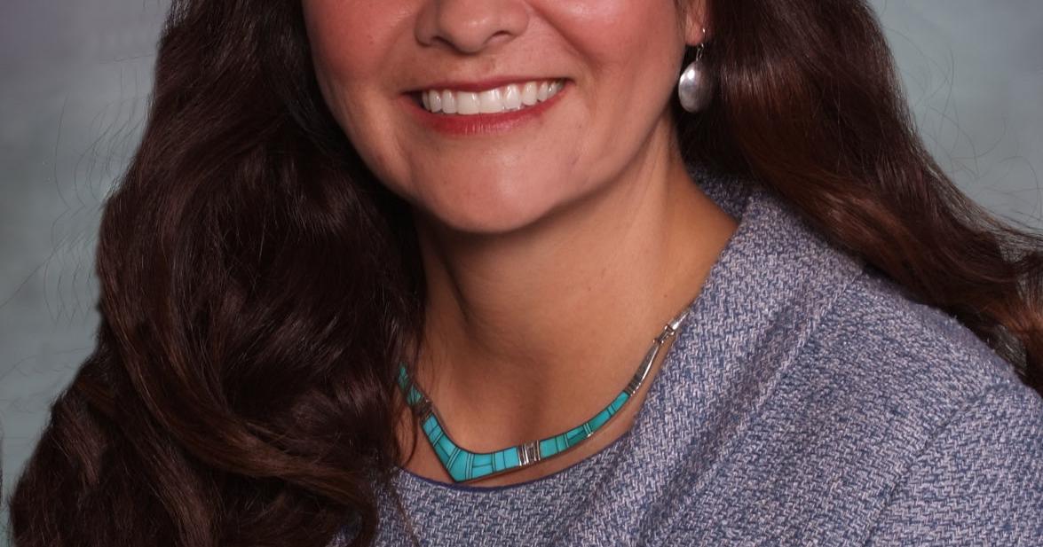 Ellis, Brennan: Bill will ensure equitable access to public school ...