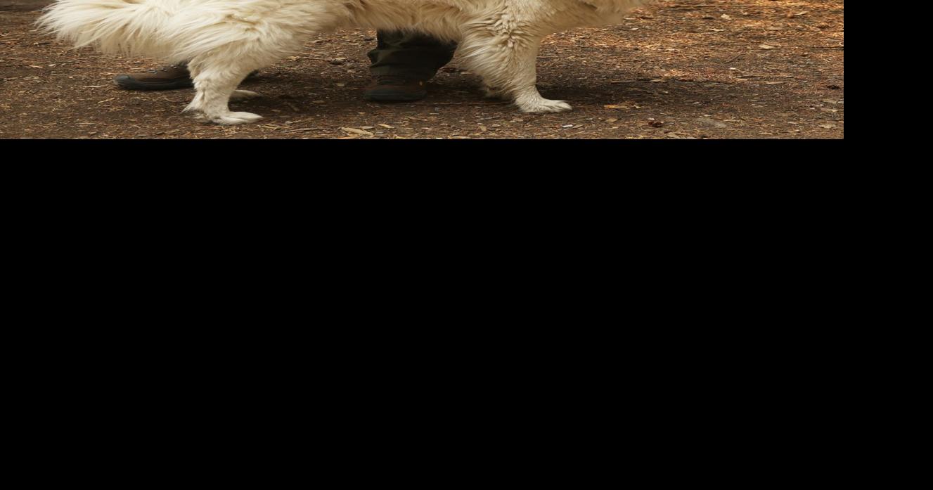 Forest protection officer ensures safety, compliance during a busy summer