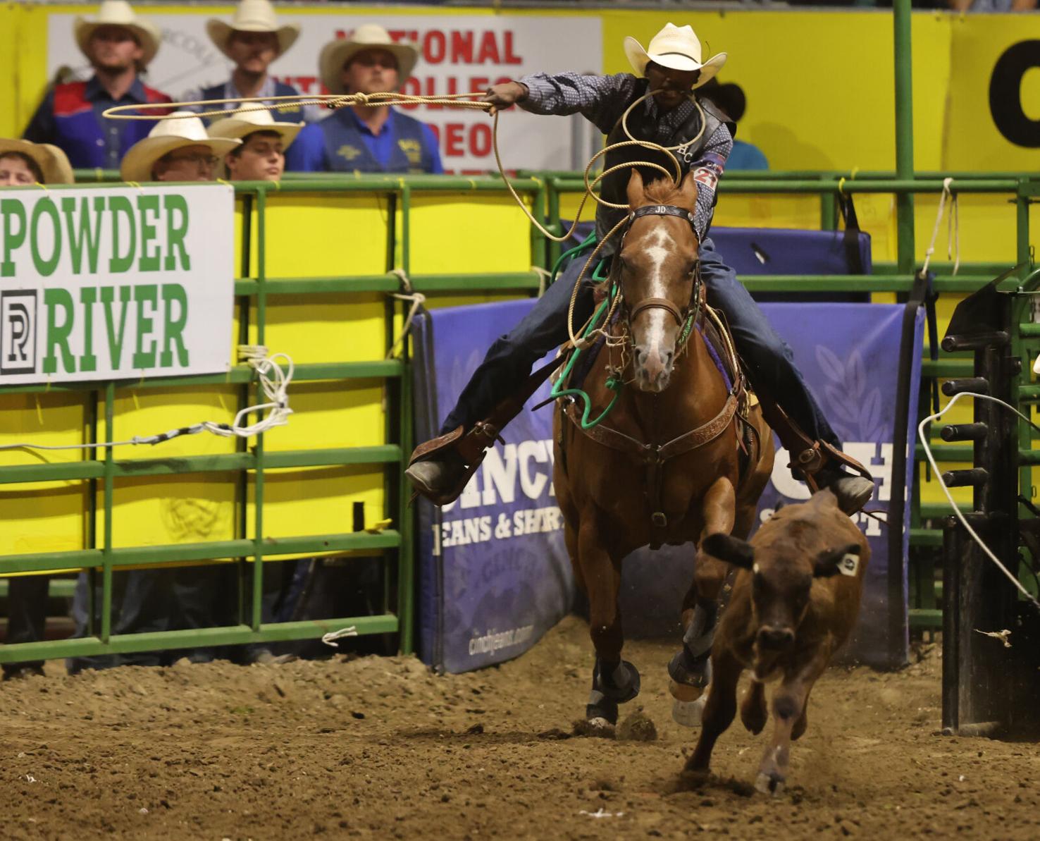Position draw is set for the College National Finals Rodeo