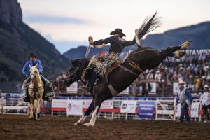 Brody Cress, Brody Wells highlight Wyoming NFR qualifiers