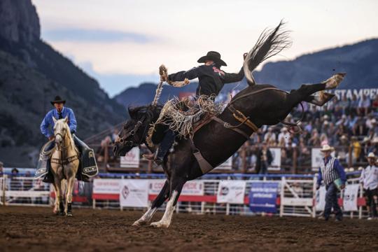 Brody Cress, Brody Wells highlight Wyoming NFR qualifiers