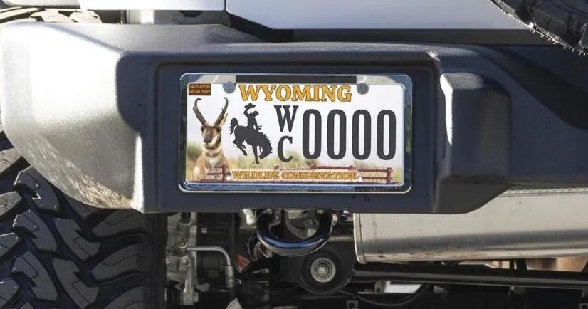 Wyoming wildlife conservation license plate to see changes
