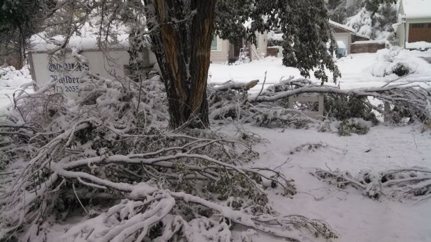 Atlas didn't shrug: Snow storm buckles trees, closes Casper schools and ...