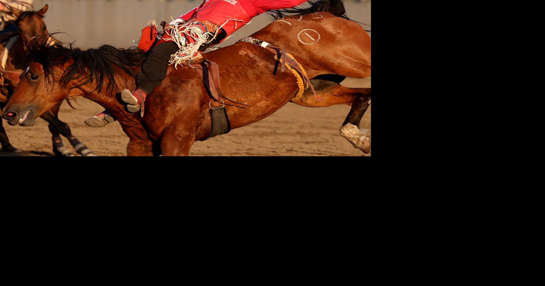 PRCA/WPRA pro rodeo standings through July 14