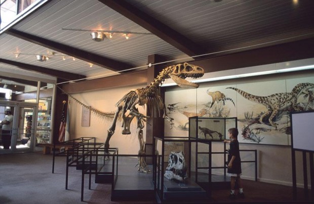 Dinosaurs walking: Or at least standing in Vernal, Utah