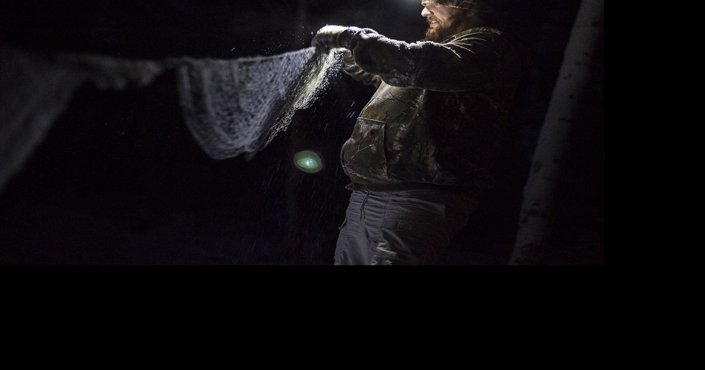 Casper bird scientist launches first effort to research northern saw ...