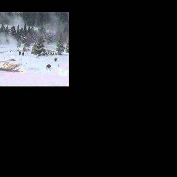 [Video] Bigfoot in Yellowstone National Park? Yeah, we're skeptical too