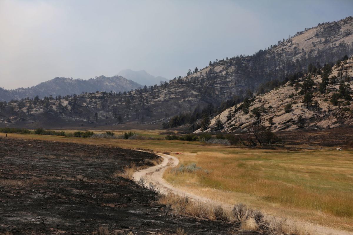 At least three structures lost in Pedro Mountain Fire