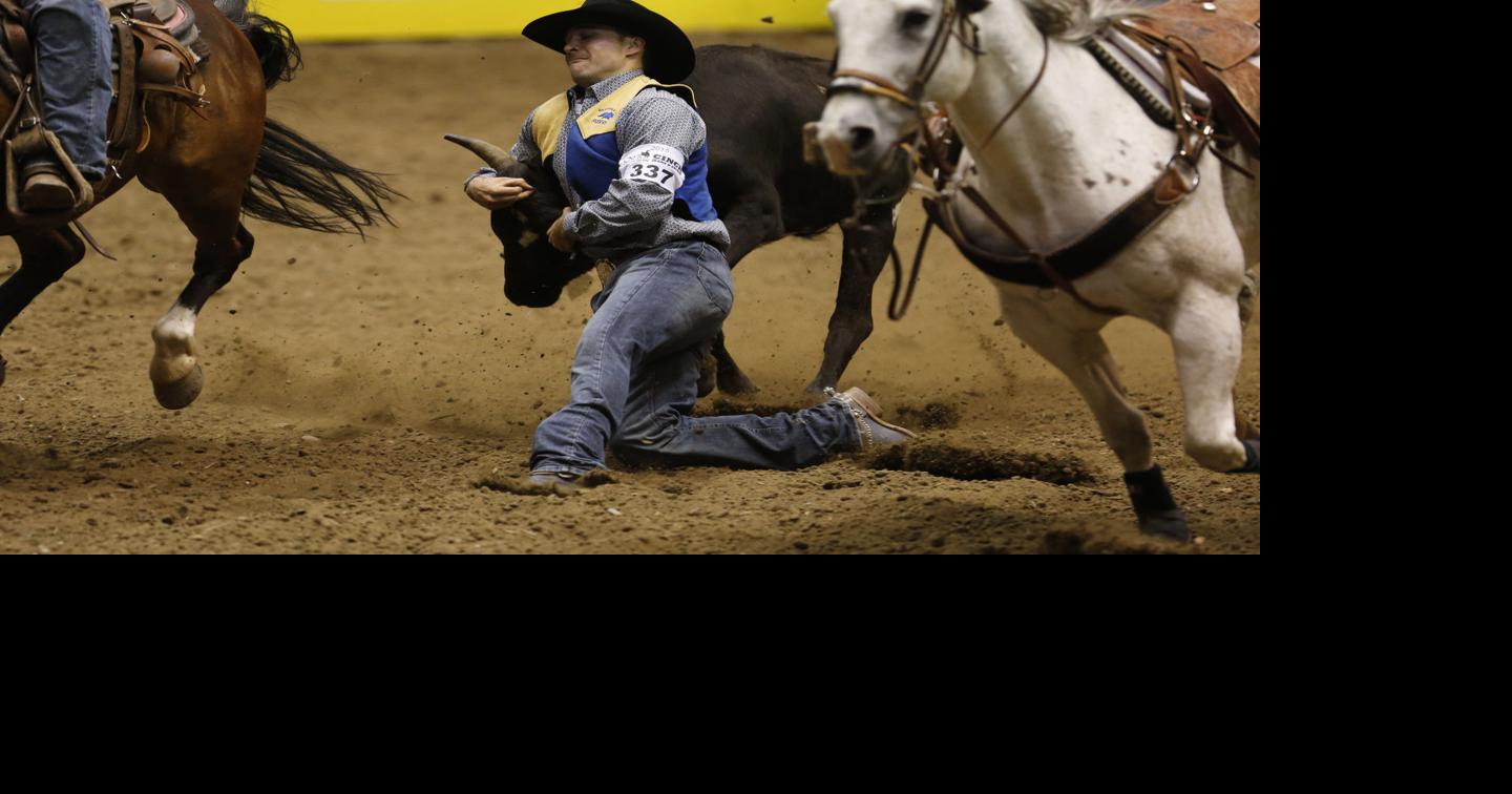 Former Washington State QB Jesse Brown excels in first full year of rodeo
